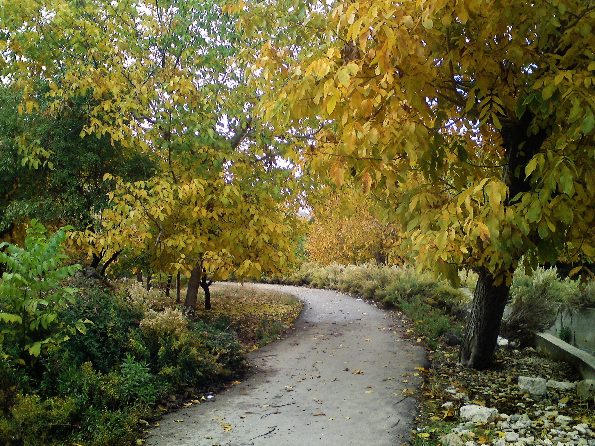 Beit Jinn: The Hidden Gem on the Slopes of Mount Hermon » This is Dimashq