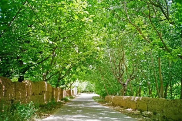 Damascus Through the Ages: A City of Many Names! » This is Dimashq
